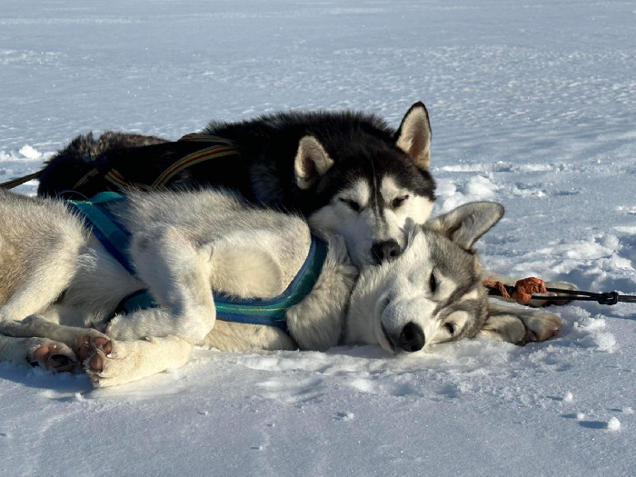 Home V :: Sten Robert